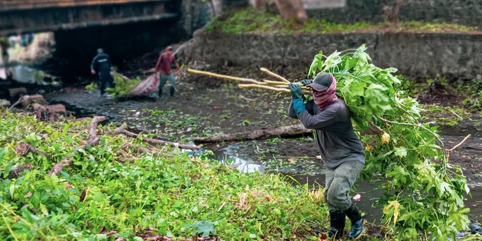 Plan Castor - UNIVONews