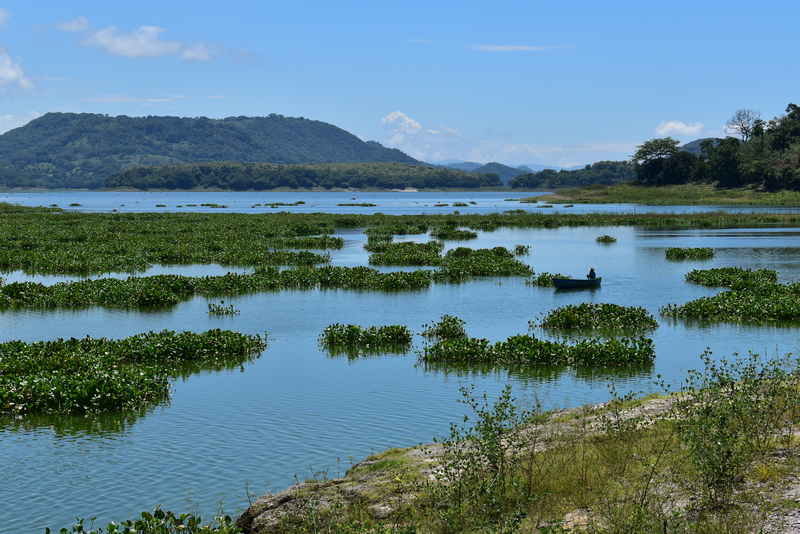 Buscan conservar humedal Cerrón Grande - UNIVONews