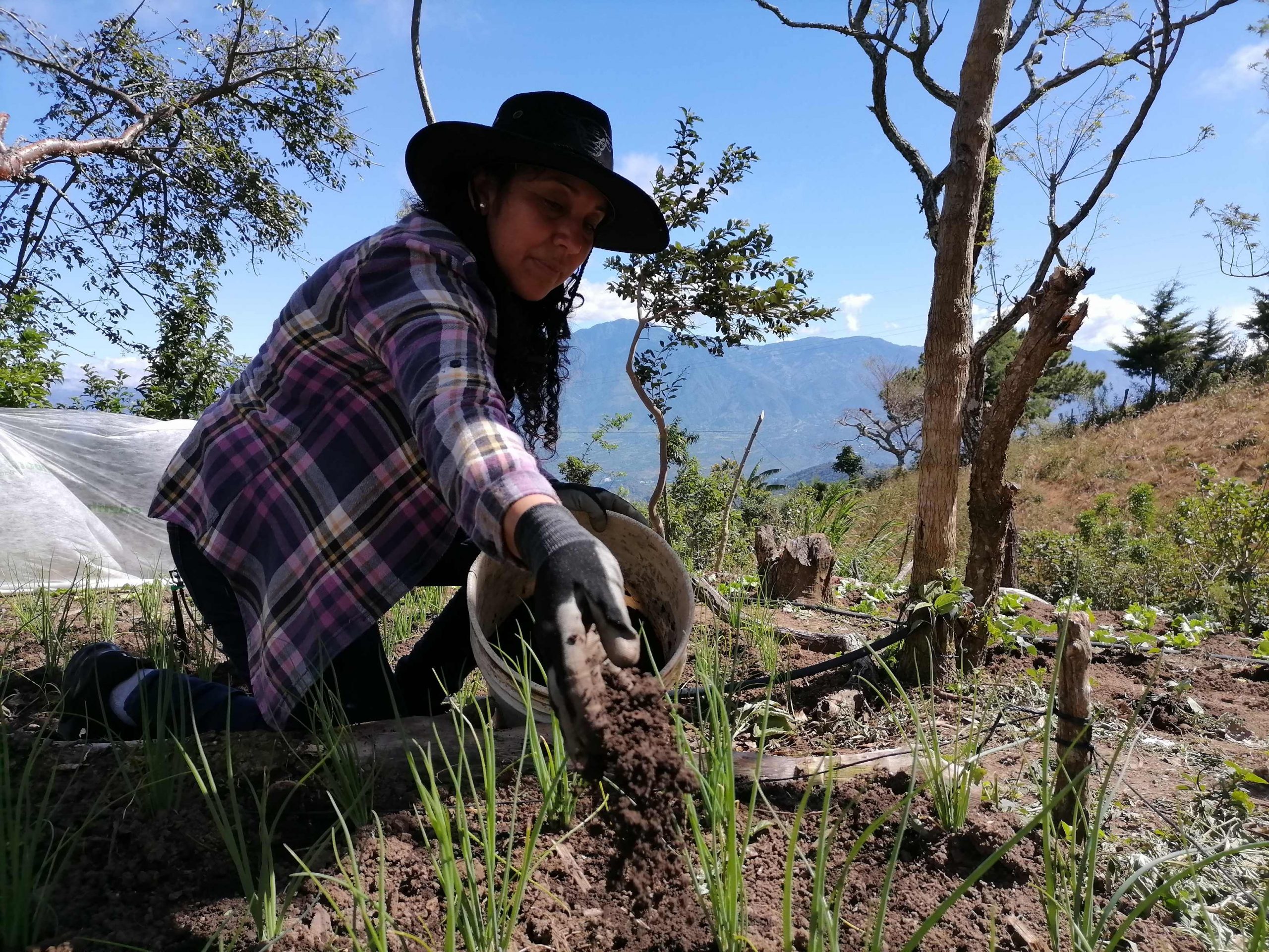 Las agricultoras de la montaña salvadoreña - UNIVONews
