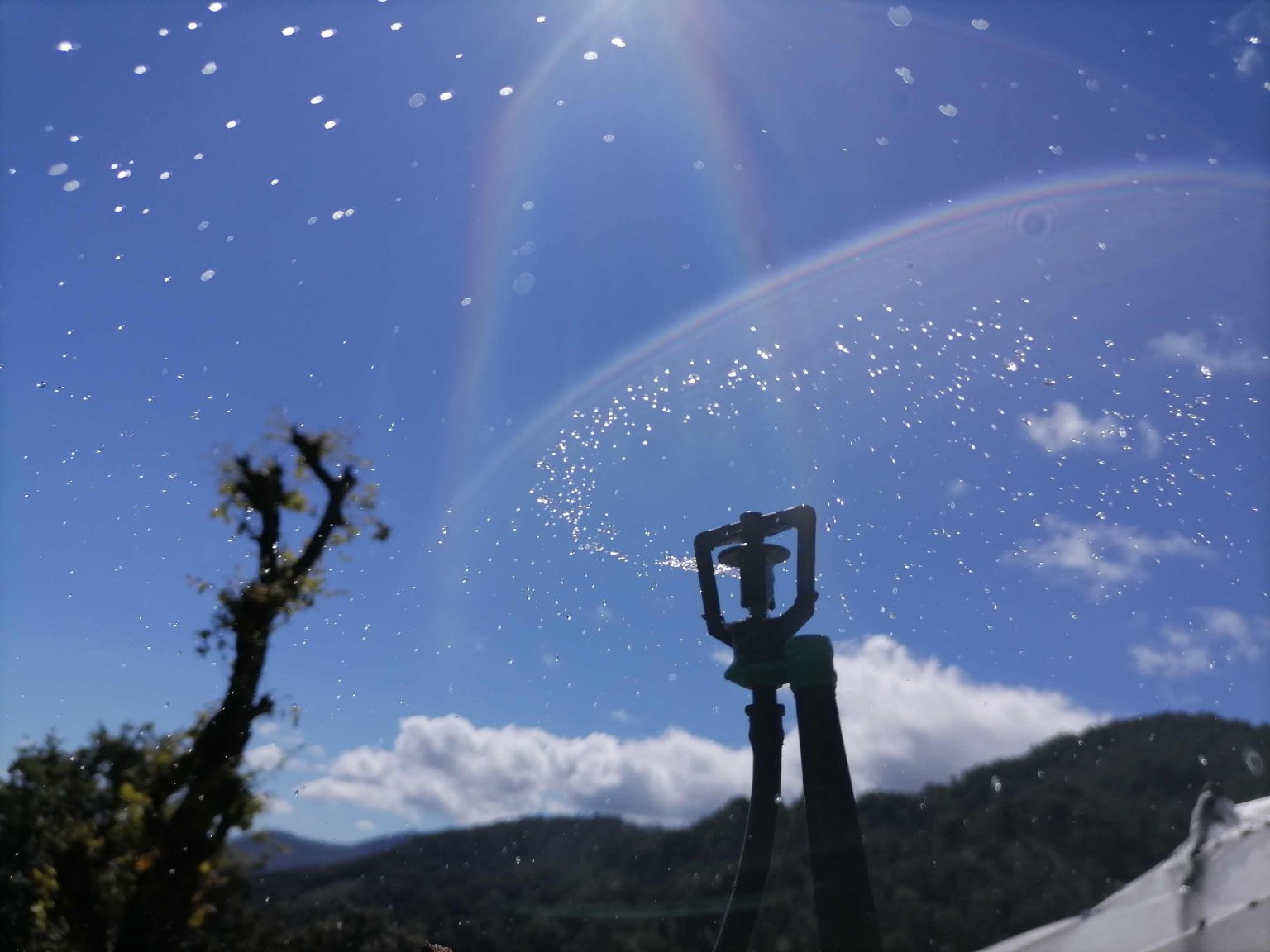 Las agricultoras de la montaña salvadoreña - UNIVONews