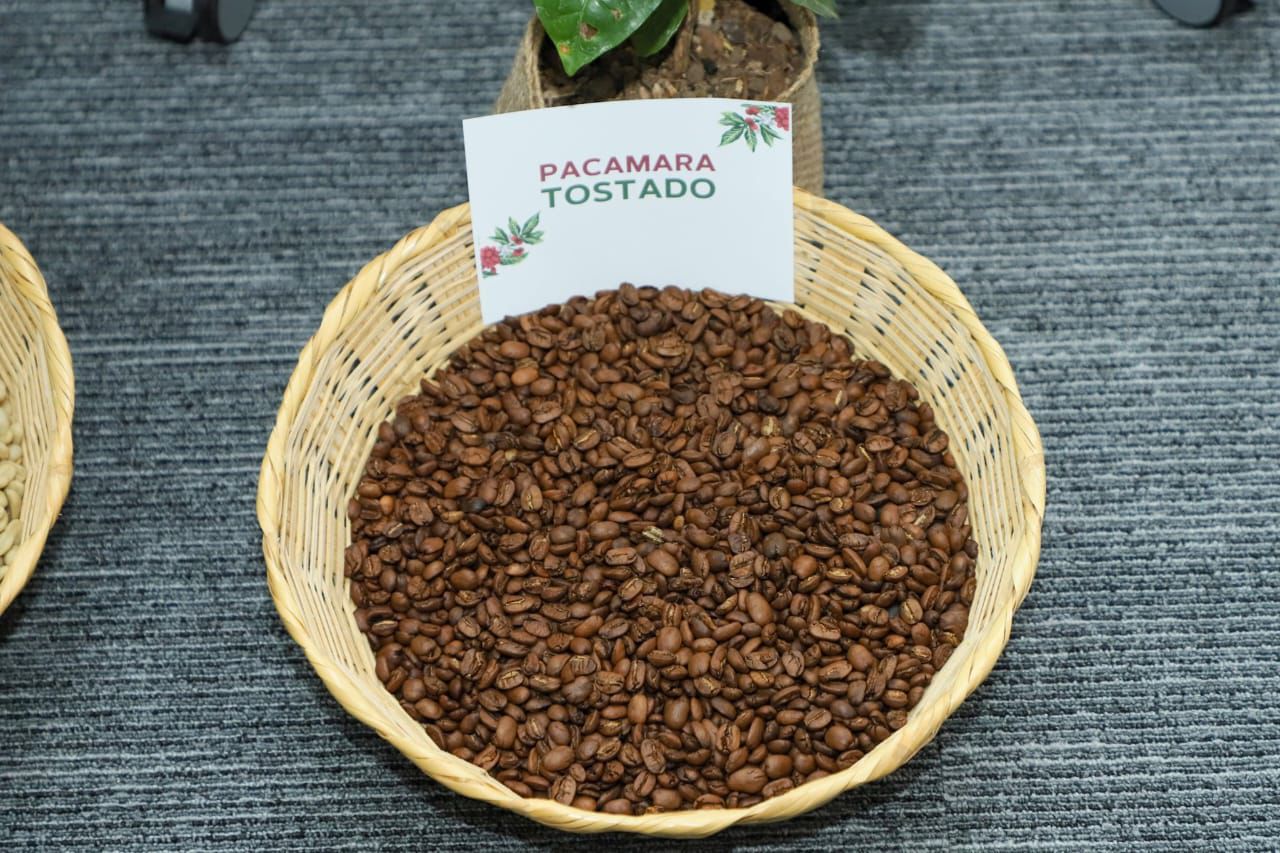 La Asamblea Legislativa declaró el 23 de marzo como Día Nacional del ...