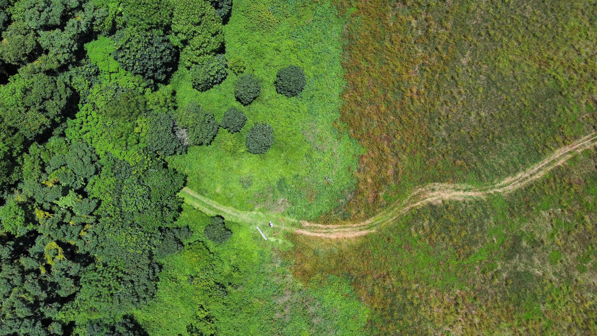 Descubre la Laguna Las Ranas, un destino turístico inigualable - UNIVONews